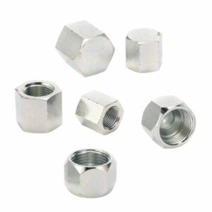 Hydraulic Plugs & Caps | Hydraulic Fitting Factory |Topa