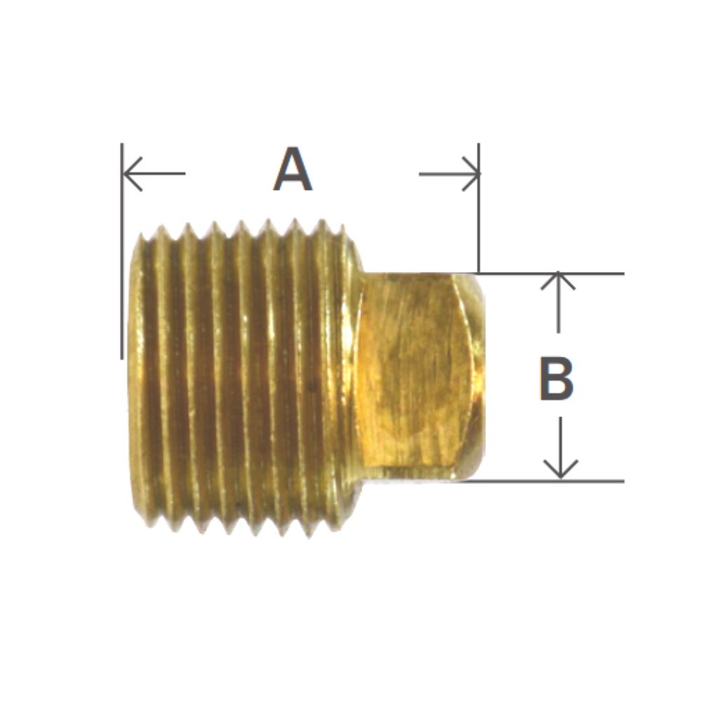 Brass Pipe Fitting Square Head Plug Fitting