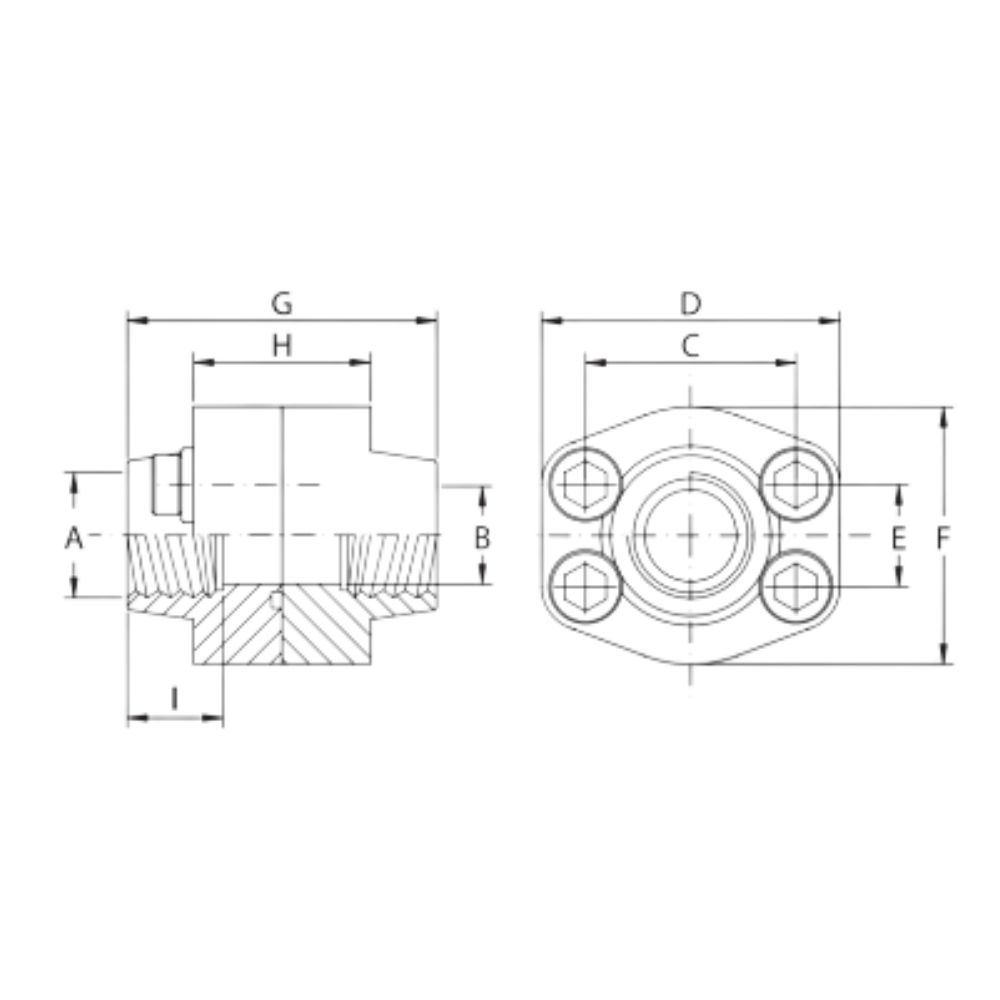 Hydraulic Female NPT SAE Double Flange Code61/62 Series