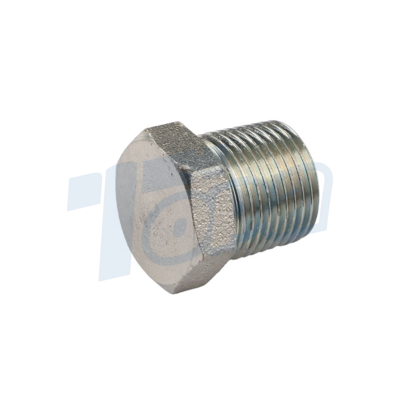 BSP Hydraulic Pipe Fittings- Topa