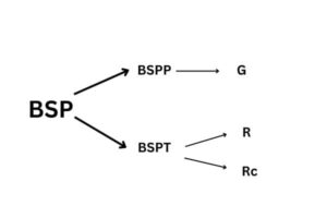 R vs Rc Threads: What You Need to Know - Topa